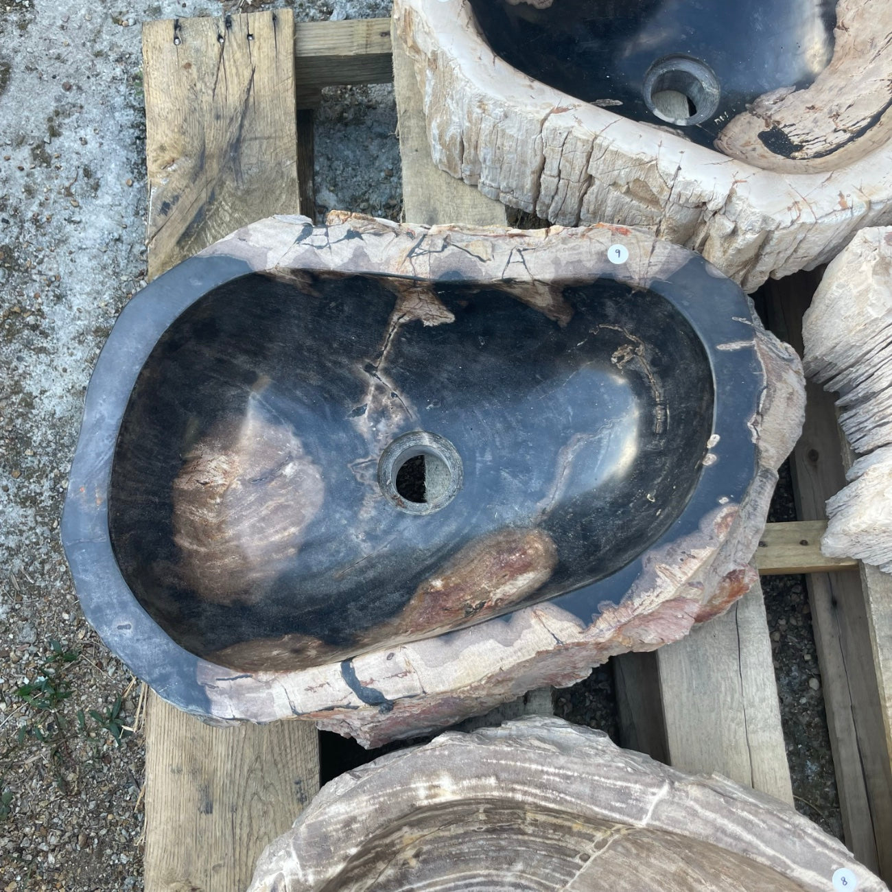 Natural Fossilised Wood Basin #09 - 56 x 38 x 15cm – Paradise Living Co.