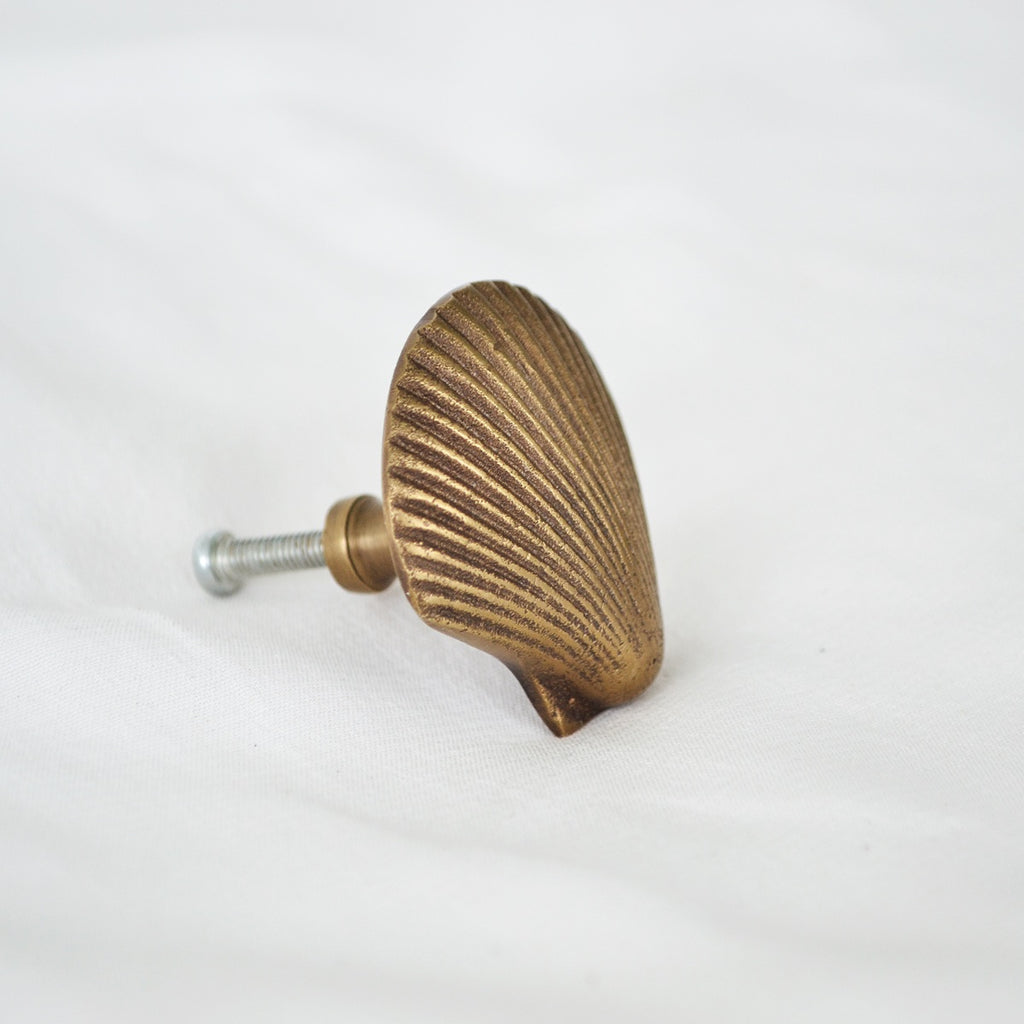Aged Brass Clam Shell Drawer Handle – Paradise Living Co.