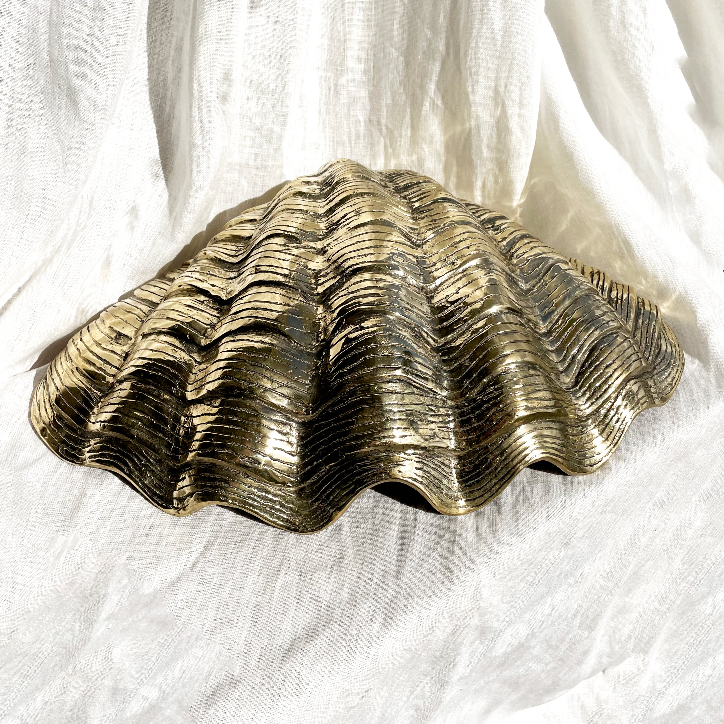Grand Contour Brass Clam Shell 45cm – Paradise Living Co.
