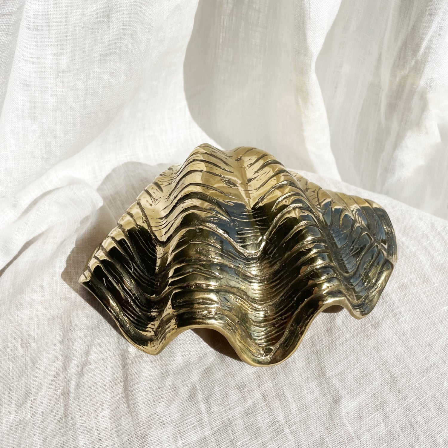Contour Brass Clam Shell 24cm – Paradise Living Co.